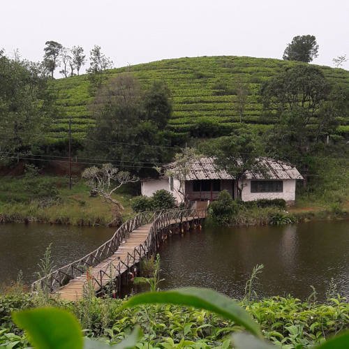Go Village | Experience Village Life